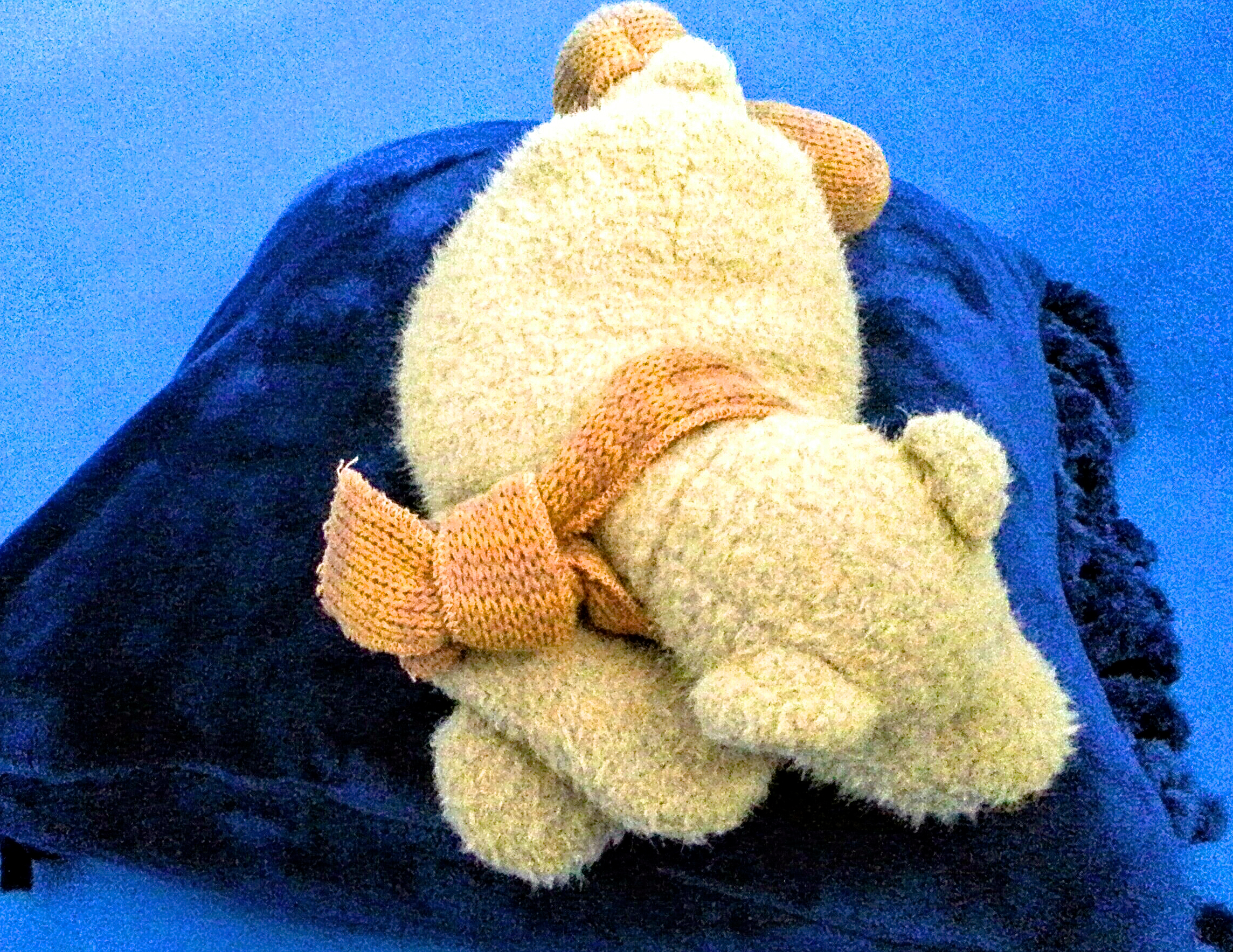 Dreamy Days and Random Naps. Reach for your cushions – Mawson Bear