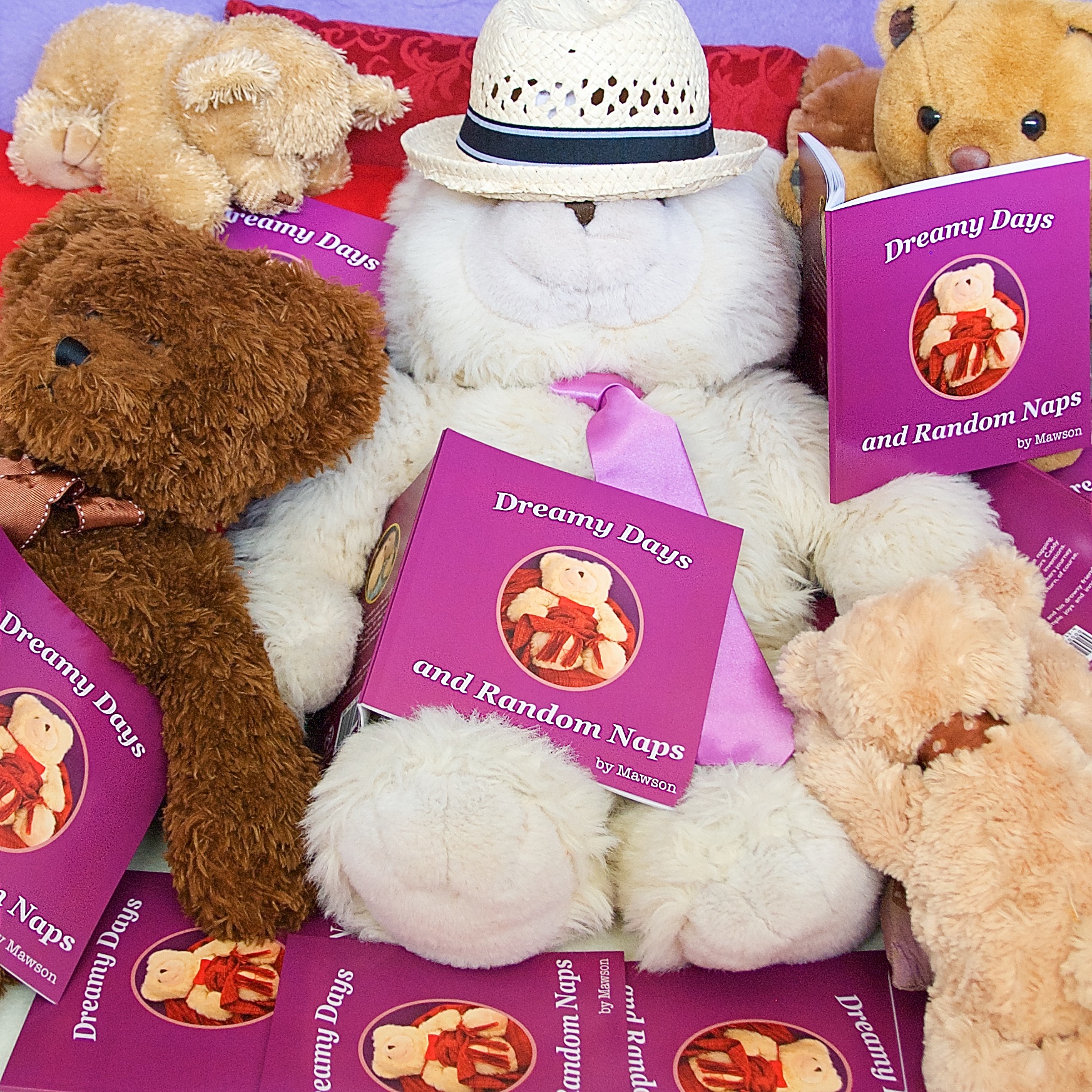 Dreamy Days and Random Naps. Reach for your cushions – Mawson Bear